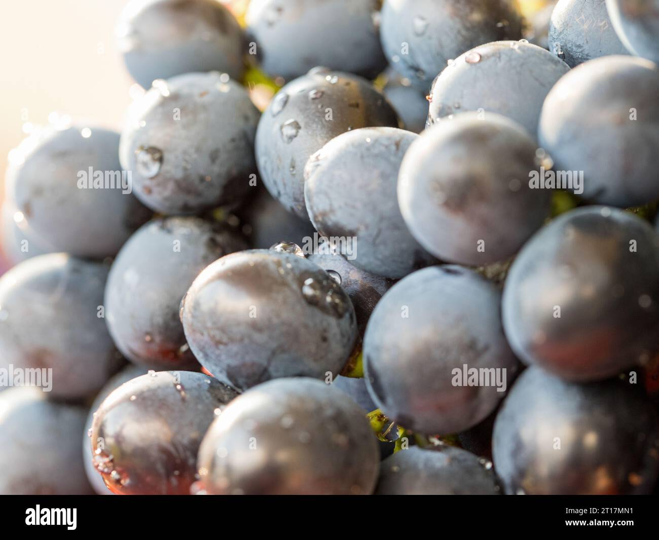 Verdigris photos hi-res stock photography and images - Alamy