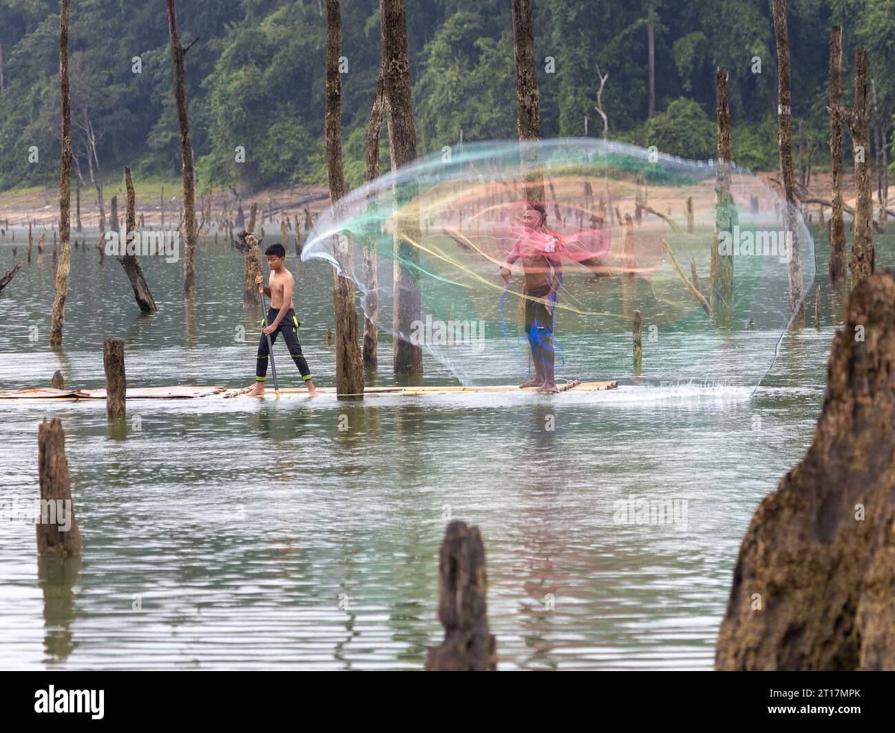 Indigenous people in Royal Belum Perak using net to catch fish Stock ...
