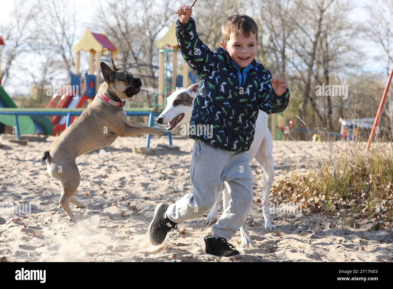 Children playing with animals hi-res stock photography and images - Alamy