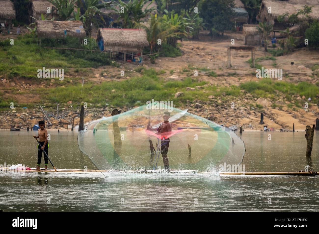 Indigenous people in Royal Belum Perak using net to catch fish Stock ...