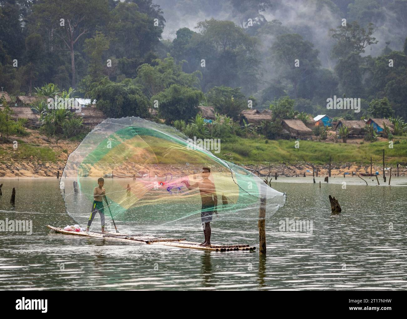 Indigenous people in Royal Belum Perak using net to catch fish Stock ...