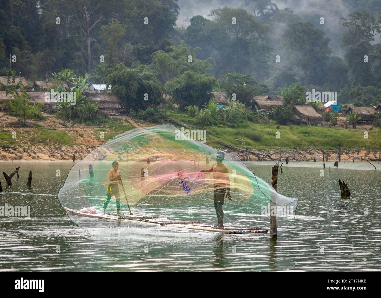 Indigenous people in Royal Belum Perak using net to catch fish Stock ...