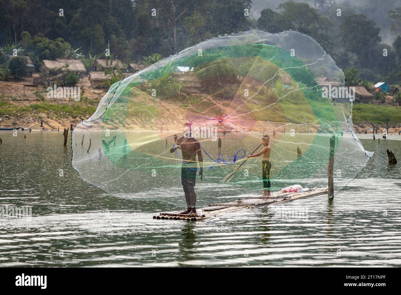 Indigenous people in Royal Belum Perak using net to catch fish Stock ...