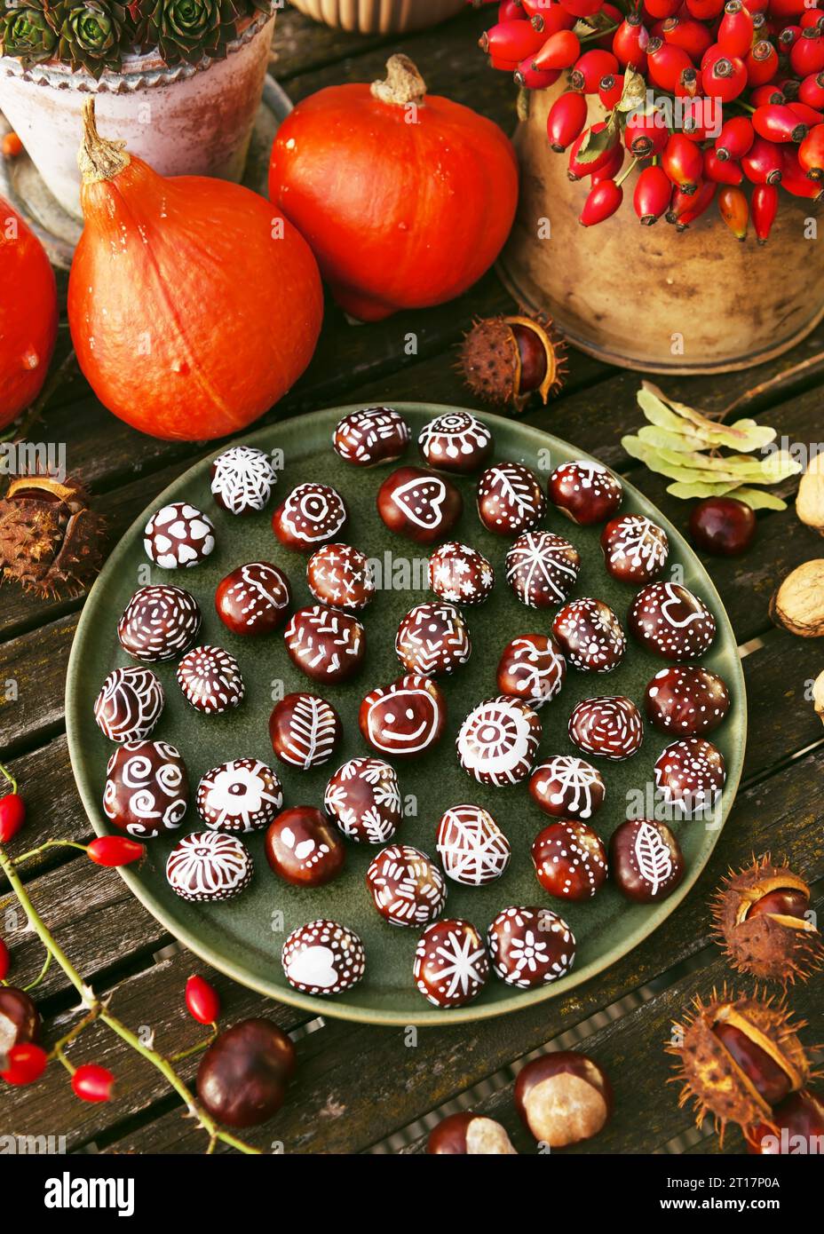 Beautiful hand painted chestnuts with different funny motifs in a pate ...