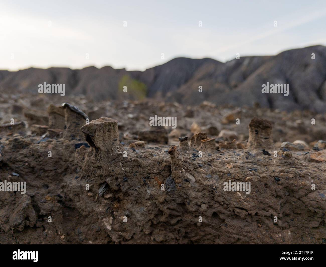 eroded soil quarry ravine with columns of sand formed under stones at ...