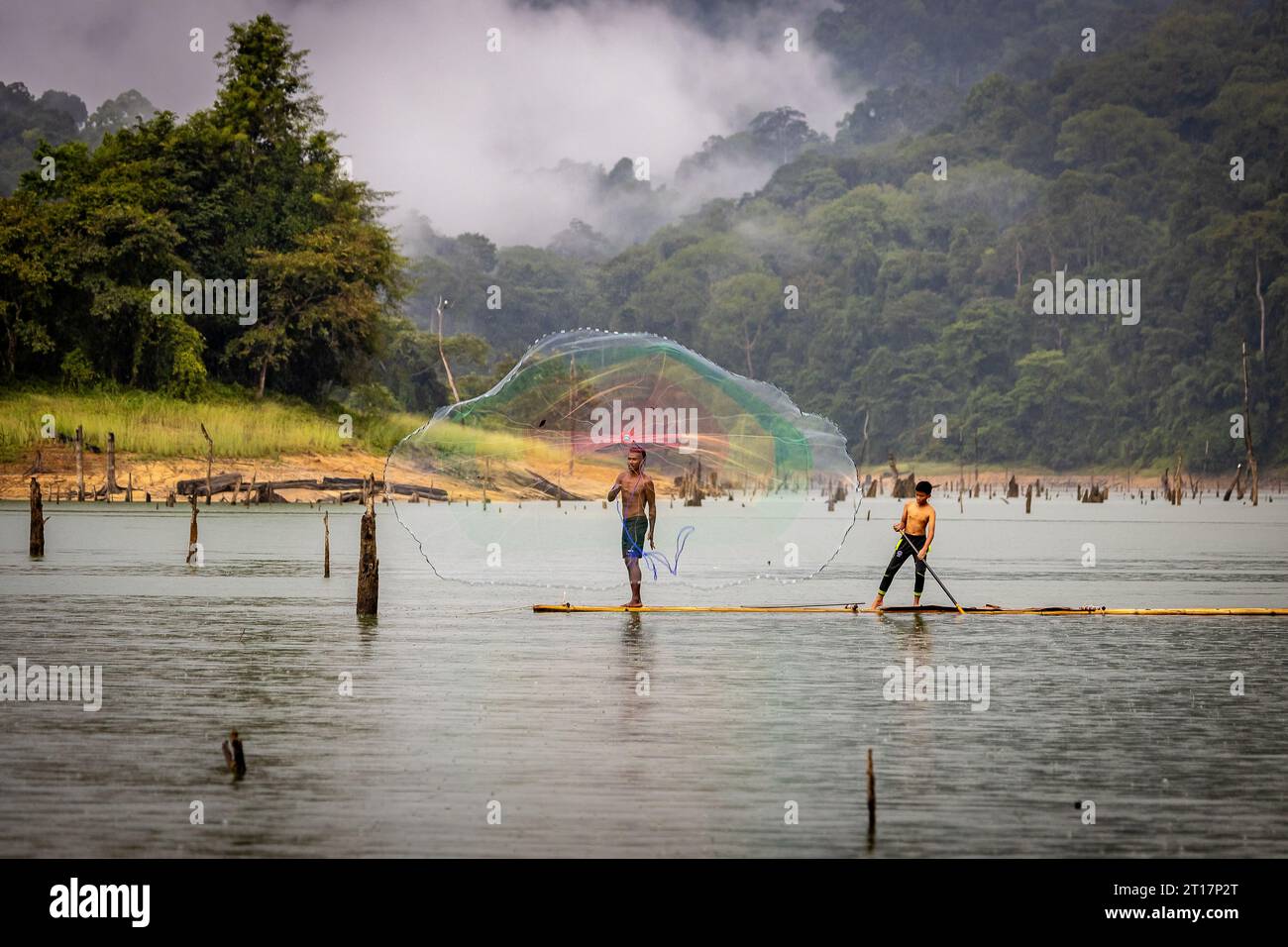 Indigenous people in Royal Belum Perak using net to catch fish Stock ...