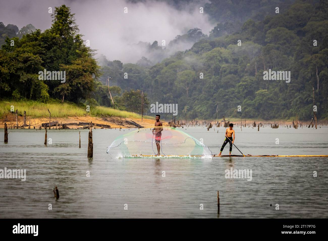 Indigenous people in Royal Belum Perak using net to catch fish Stock ...