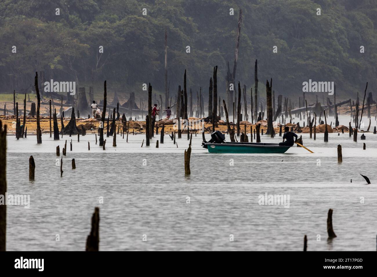 Royal Belum Lake Perak Malaysia Stock Photo - Alamy