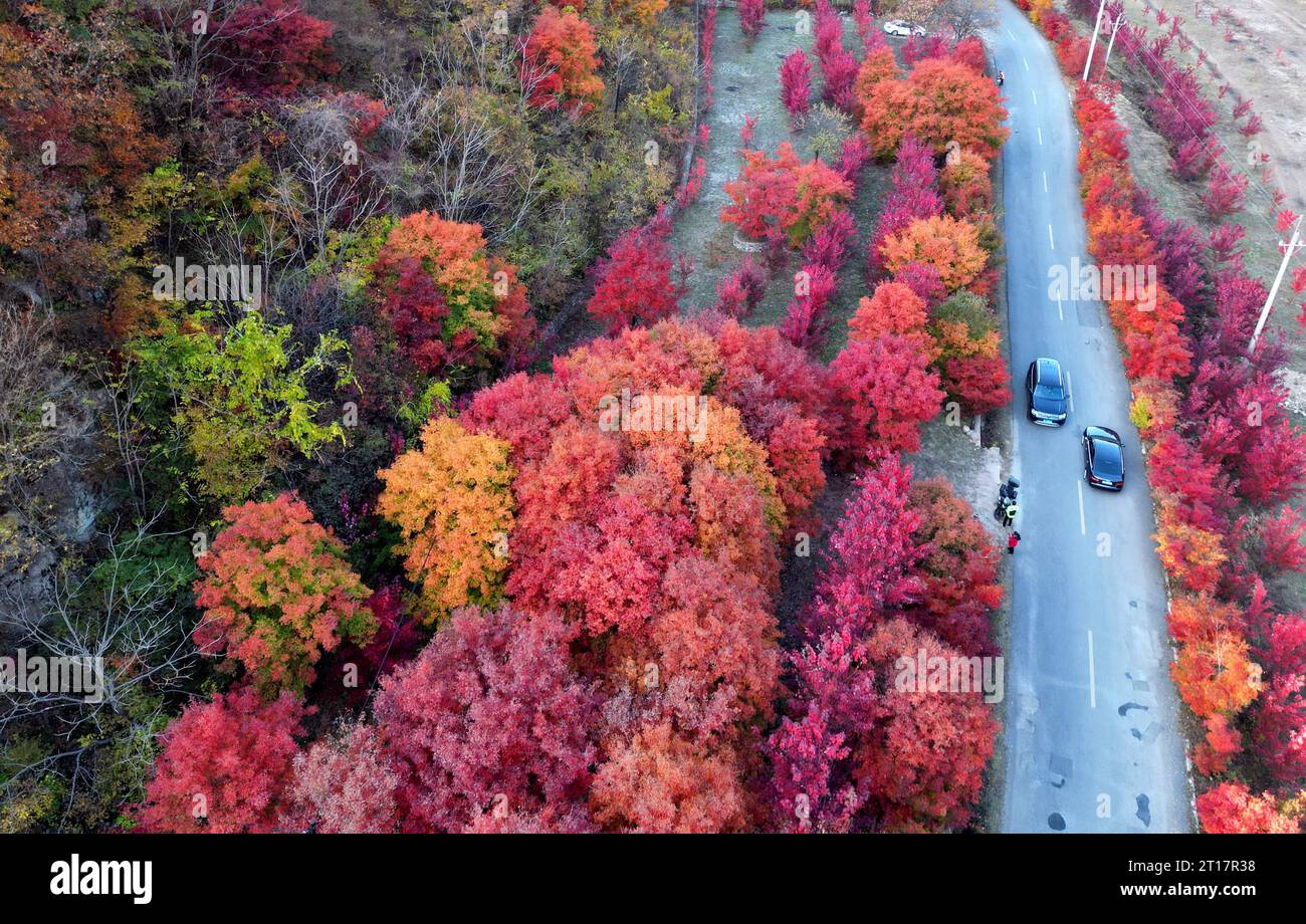 Benxi City, northeast China's Liaoning Province, 10 October, 2023 ...