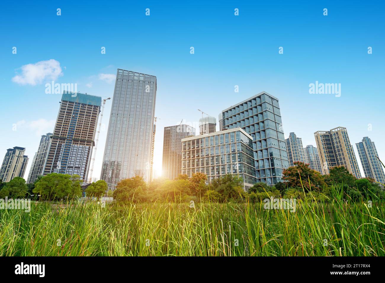 Skyscrapers in commercial areas, urban landscape, Changsha, China Stock ...