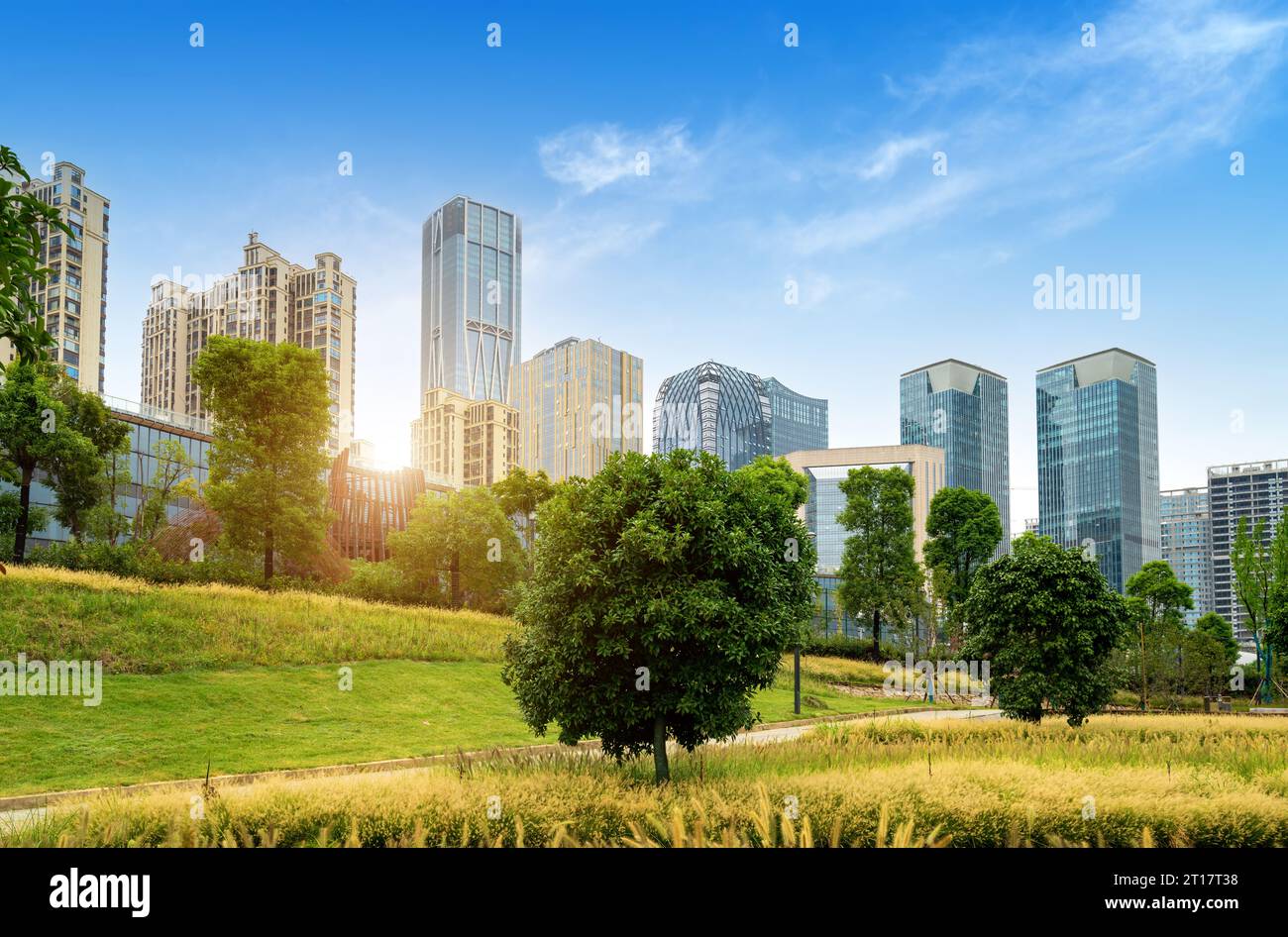 High-rise buildings near the lawn, Wuhan, China Stock Photo - Alamy