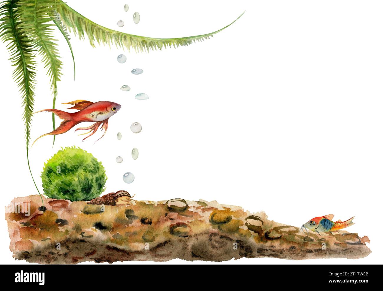 Hand drawn watercolor aquarium fish, algae and sealife on substrate ...