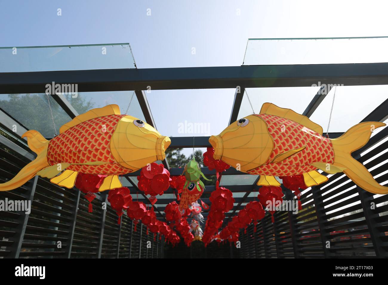 The 23rd Shenyang World Expo Garden Chrysanthemum Culture Festival ...