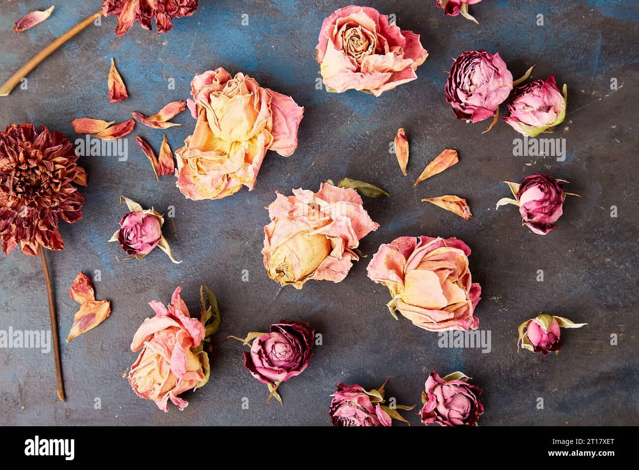 Dry roses flowers on rustic background. Zero waste, organic decorations ...