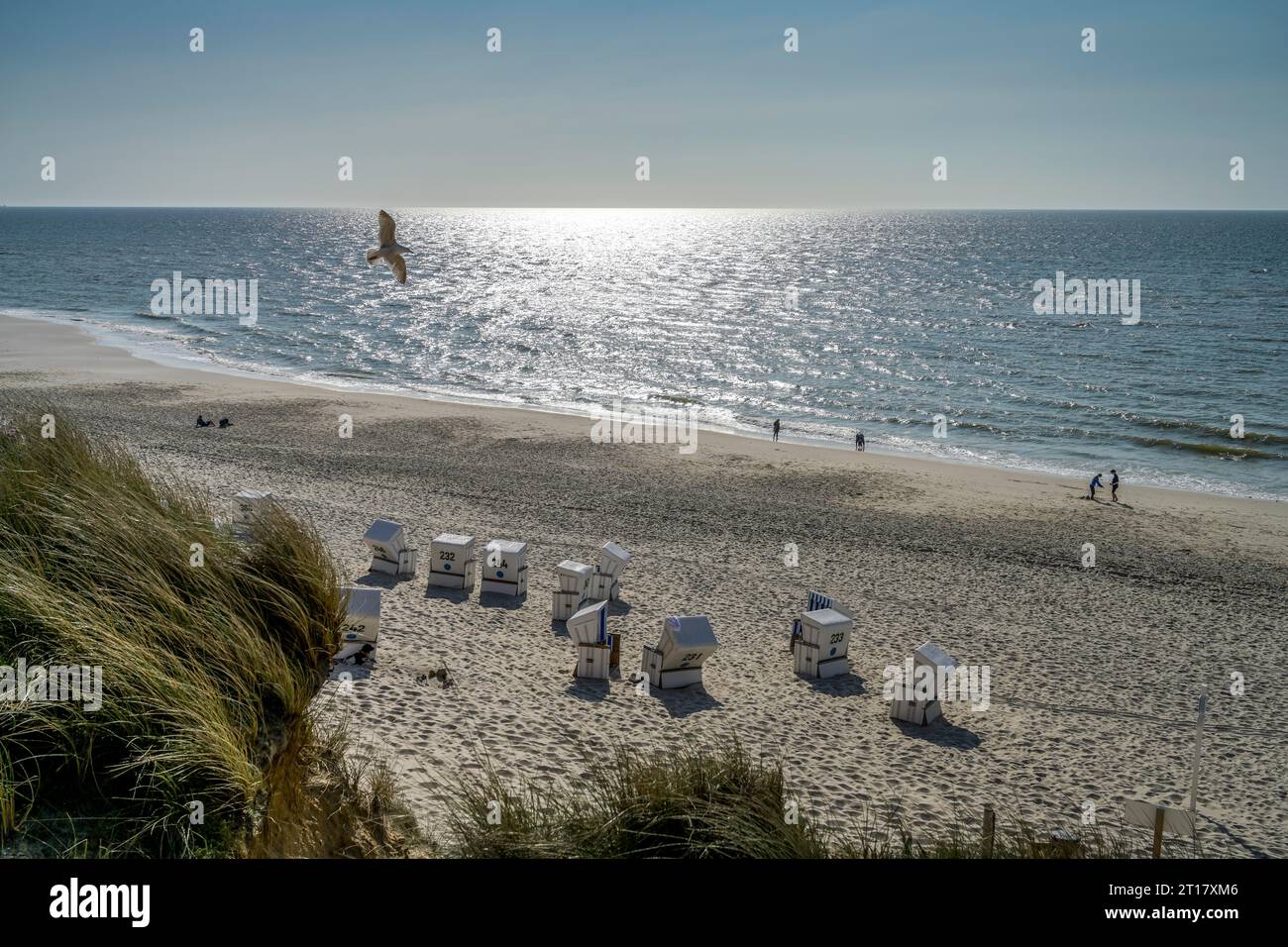 Strand, Nordsee, Kampen, Sylt, Schleswig-Holstein, Deutschland Stock ...