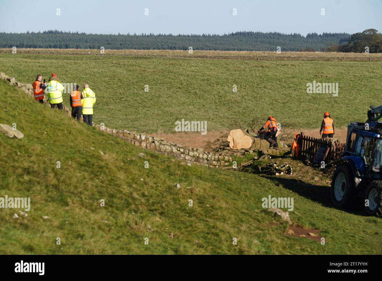 Work begins in the removal of the felled Sycamore Gap tree, on Hadrian ...