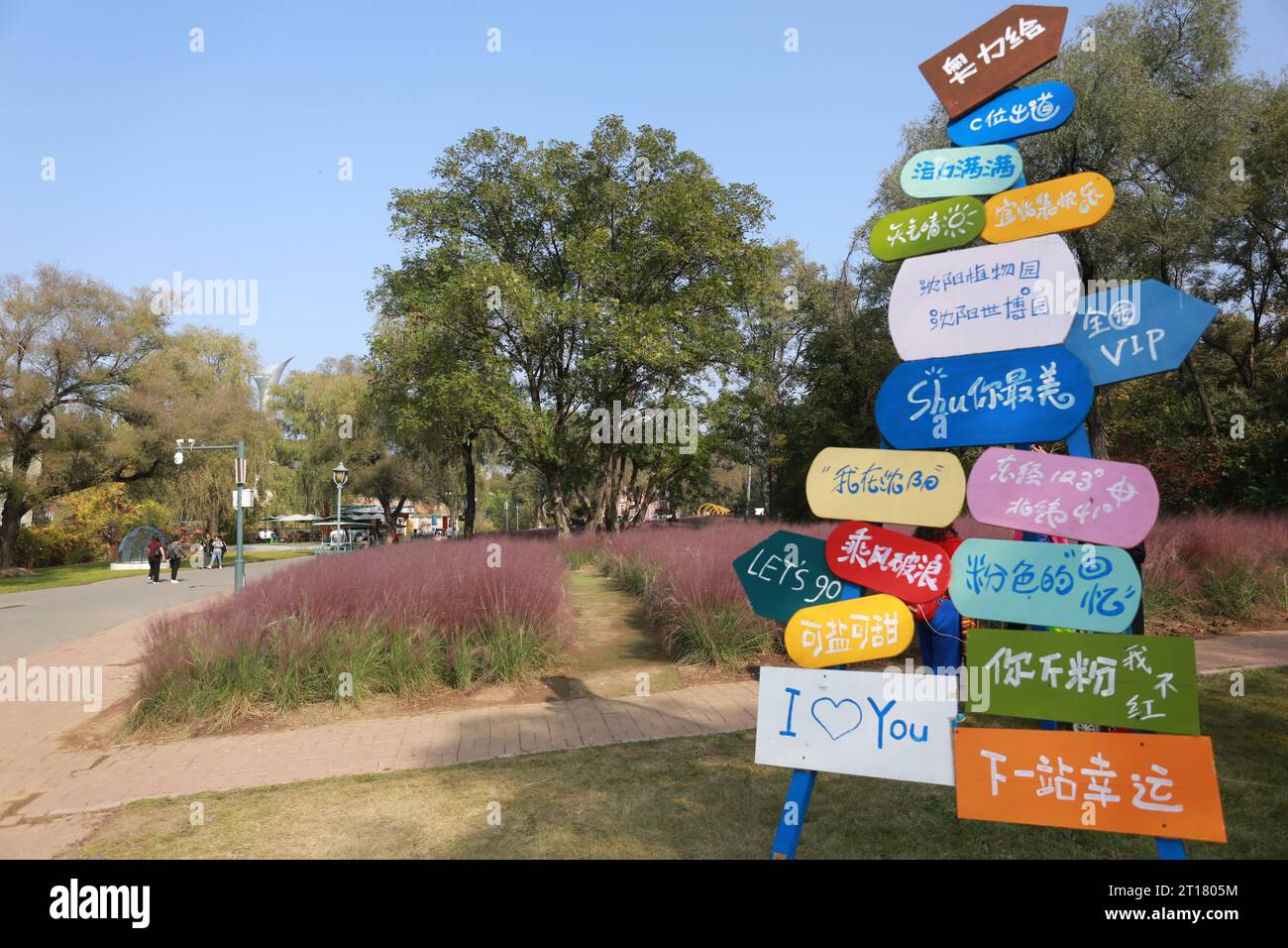 The 23rd Shenyang World Expo Garden Chrysanthemum Culture Festival ...