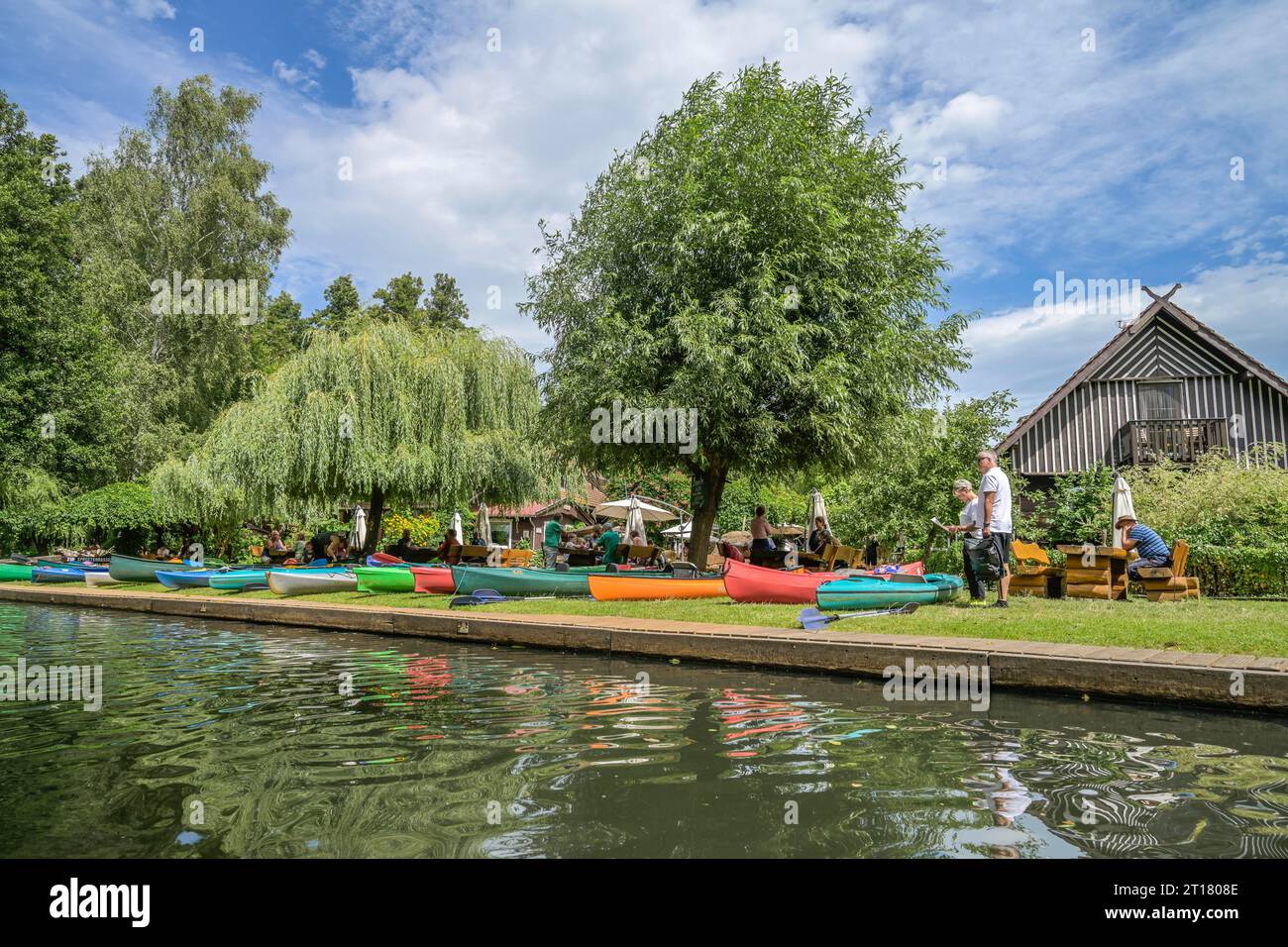 Boot im wald hi-res stock photography and images - Alamy