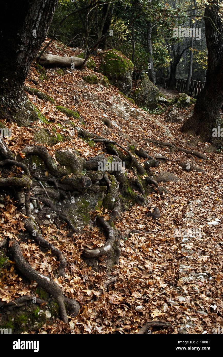 Greece, Rhodes island valley of the butterflies (part 1 Stock Photo - Alamy