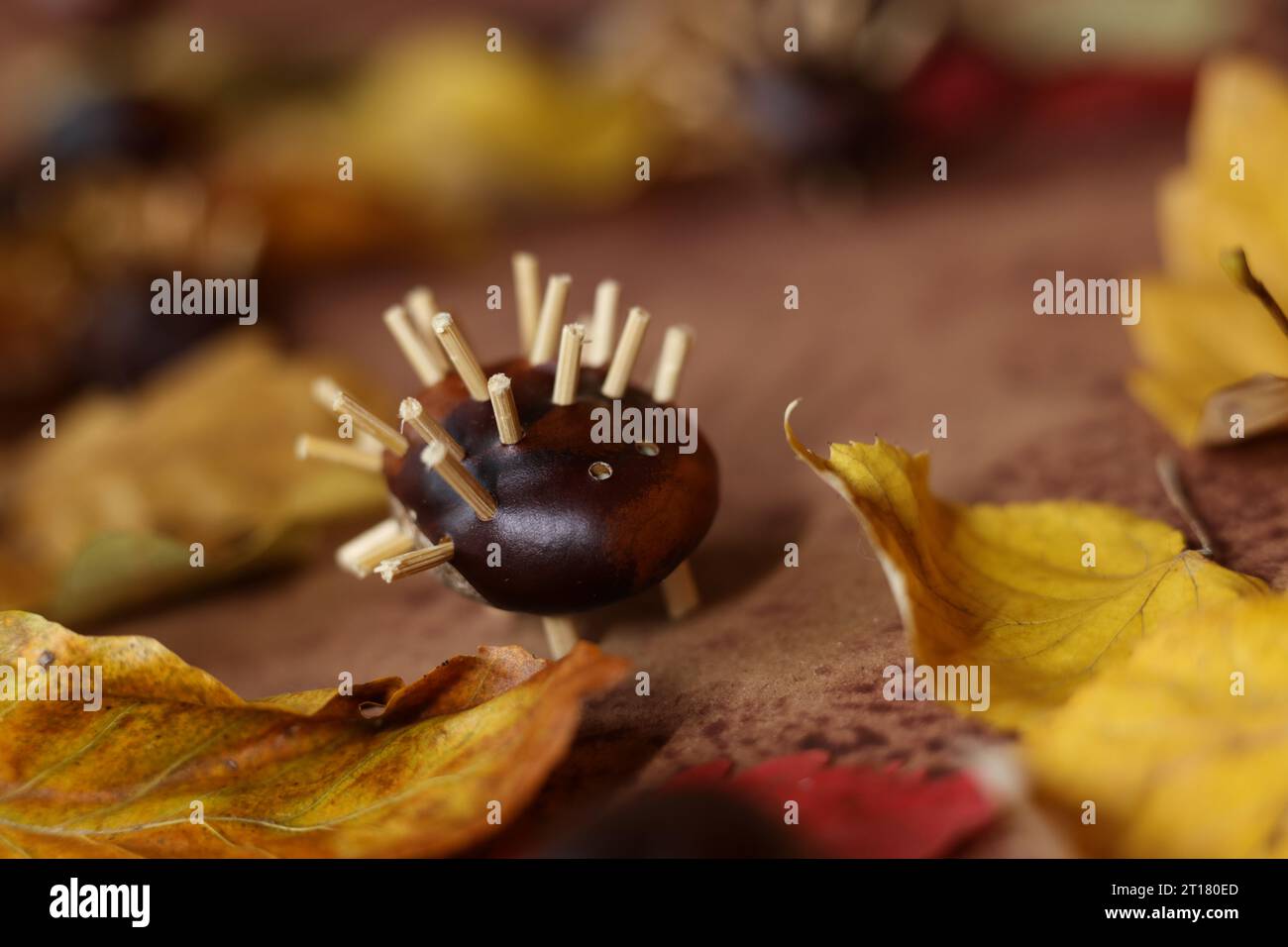 still life with colorful autumn leaves and animals made of horse ...