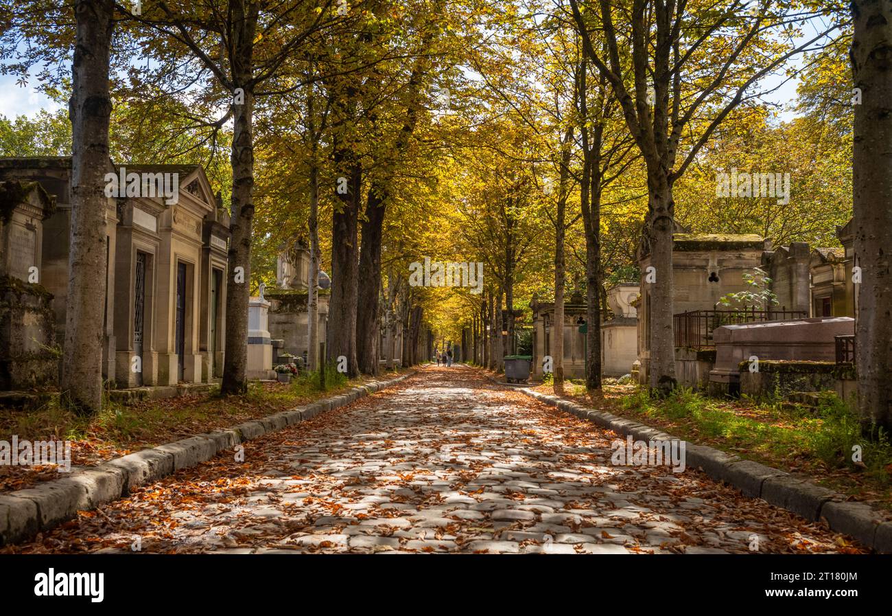 A tree-lined cobbled street with elaborate 19th century catholic family ...