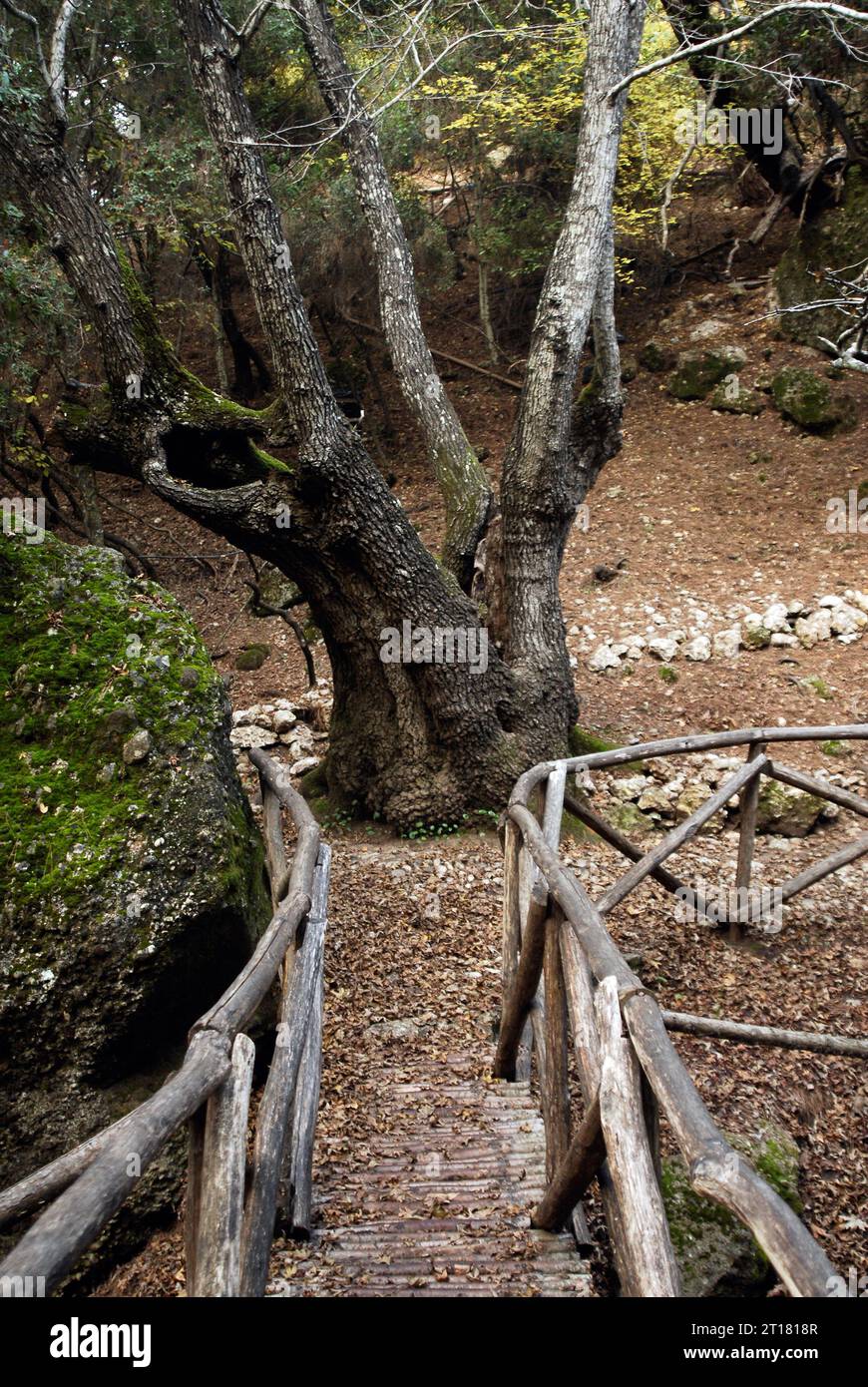 Greece, Rhodes island valley of the butterflies (part 1 Stock Photo - Alamy