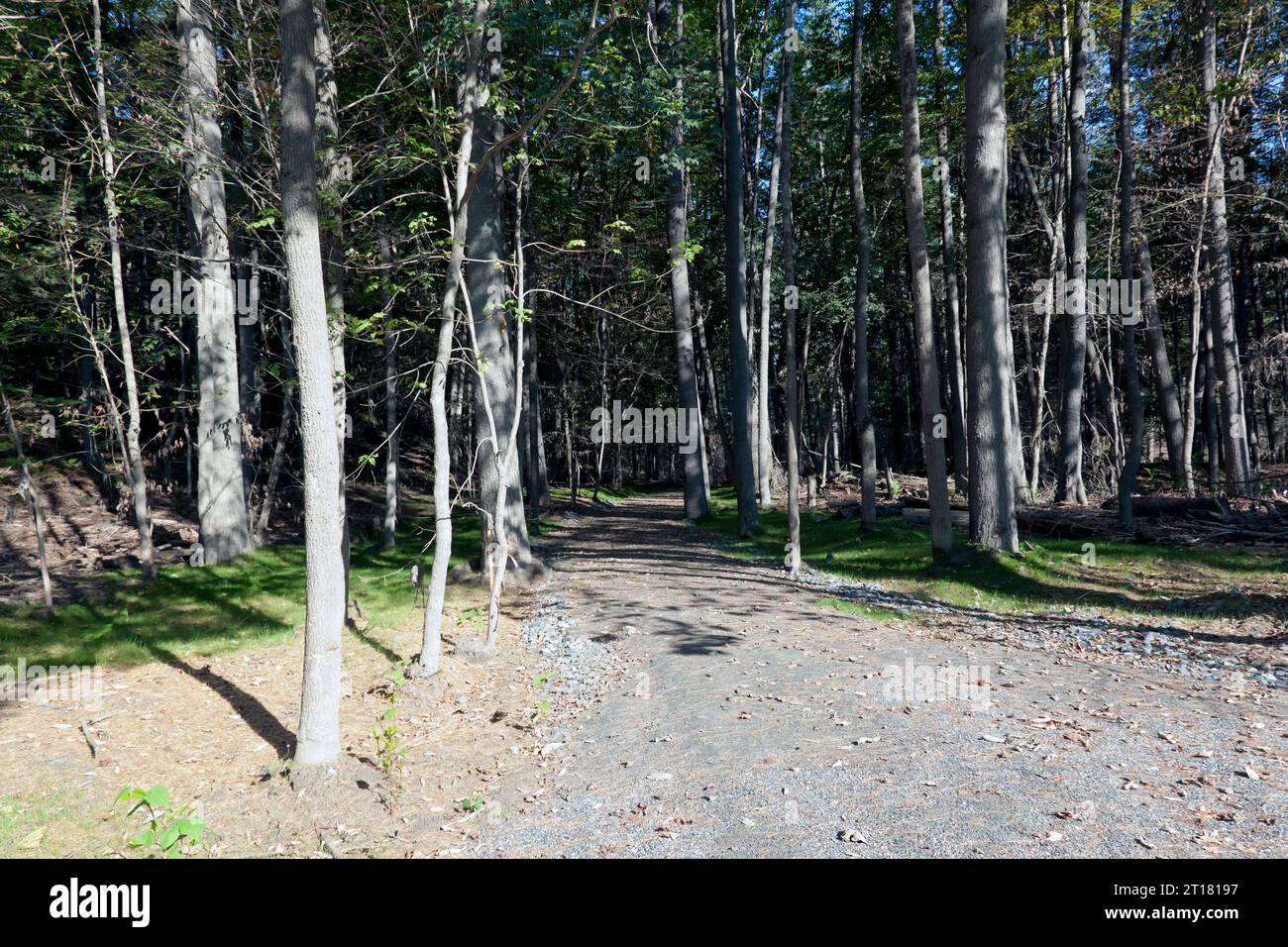 Quechee state park vermont hi-res stock photography and images - Alamy