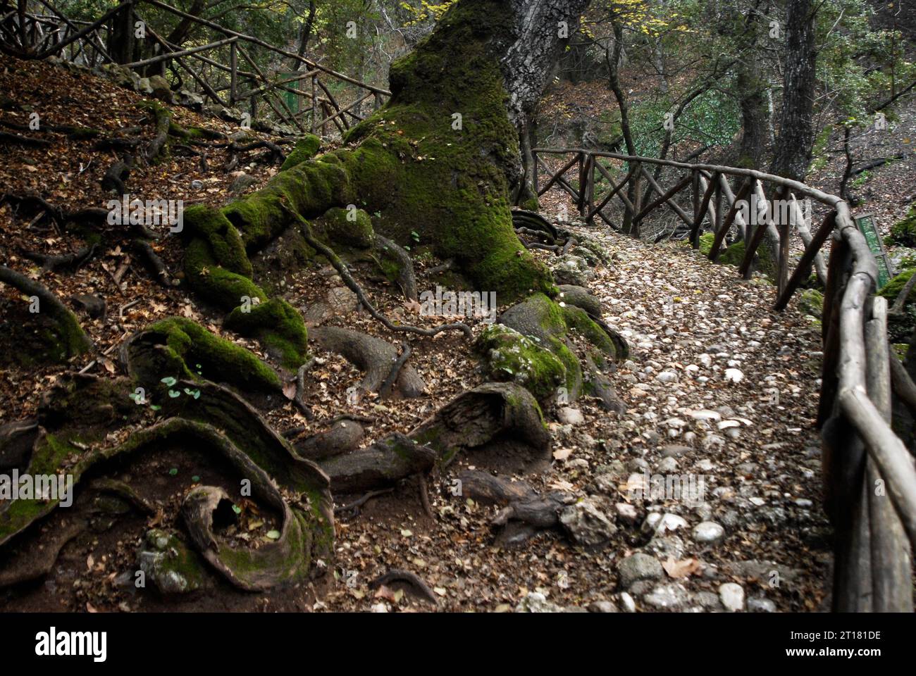 Greece, Rhodes island valley of the butterflies (part 1 Stock Photo - Alamy