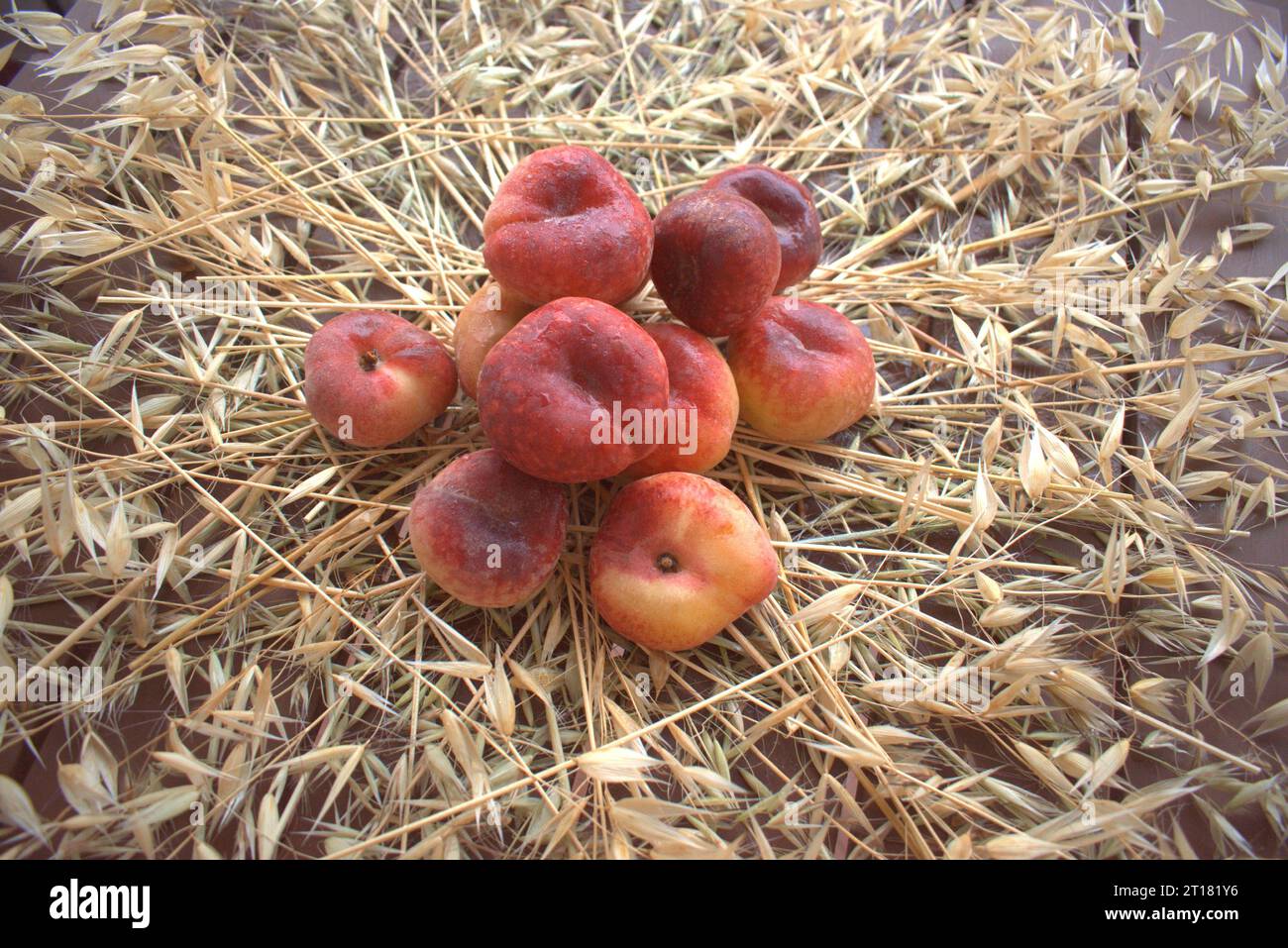 Paraguayan peach hi-res stock photography and images - Alamy