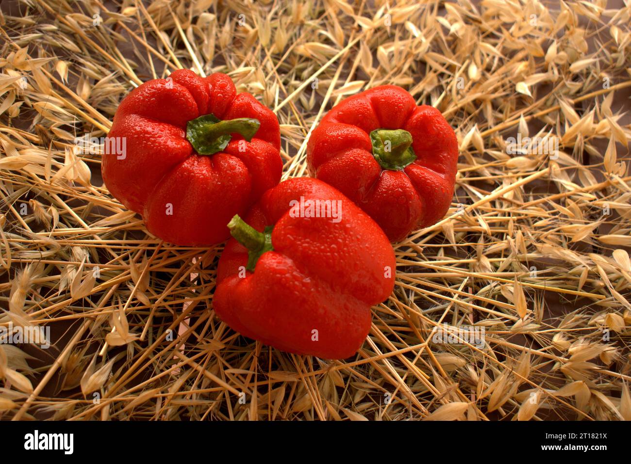 Long sweet pepper hi-res stock photography and images - Alamy