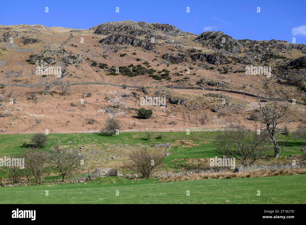 Cumbria, England, UK. Typical scene in the North Western Lake District ...