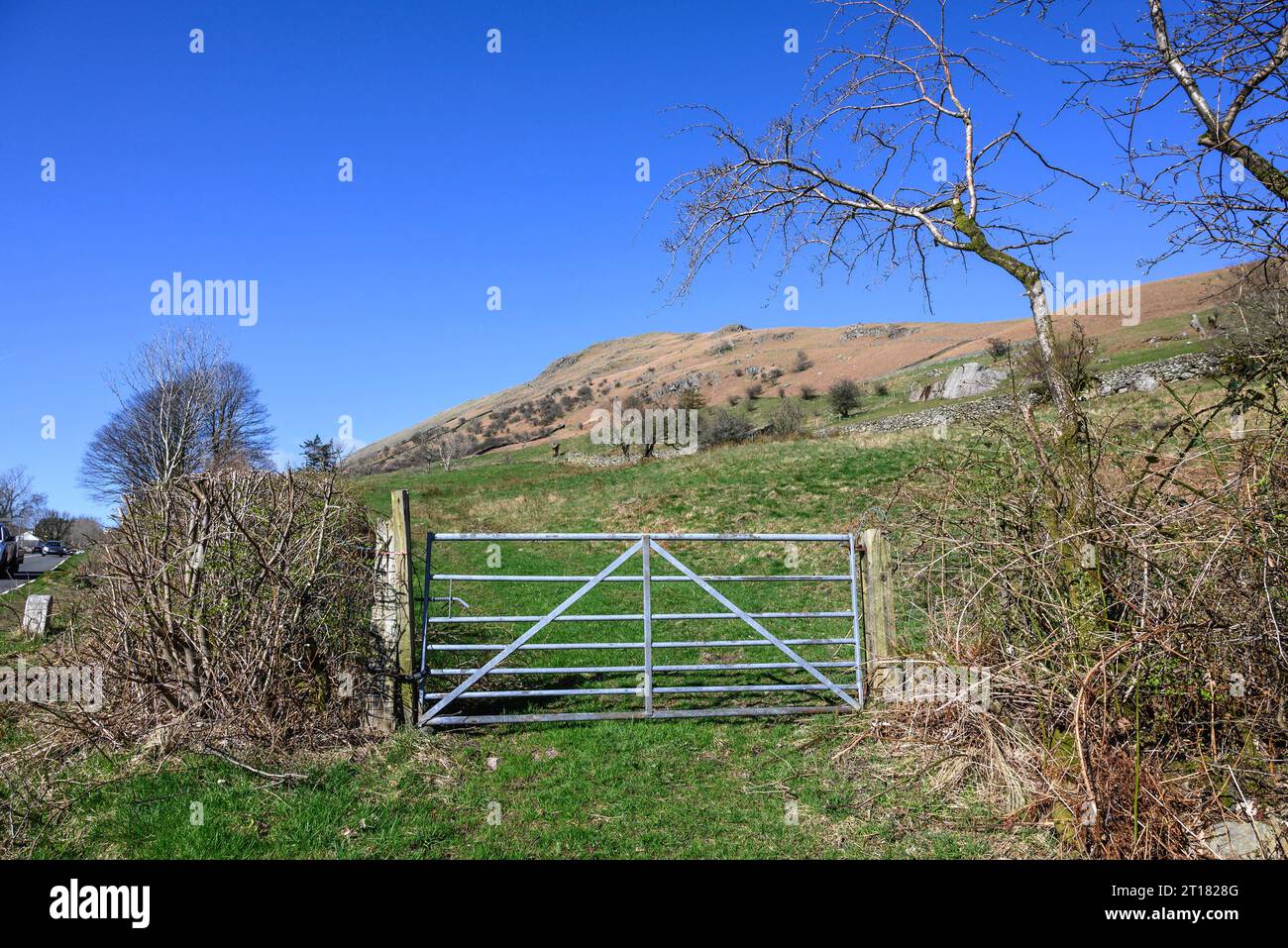 Cumbria, England, UK. Five bar gate into a field in the North Western ...