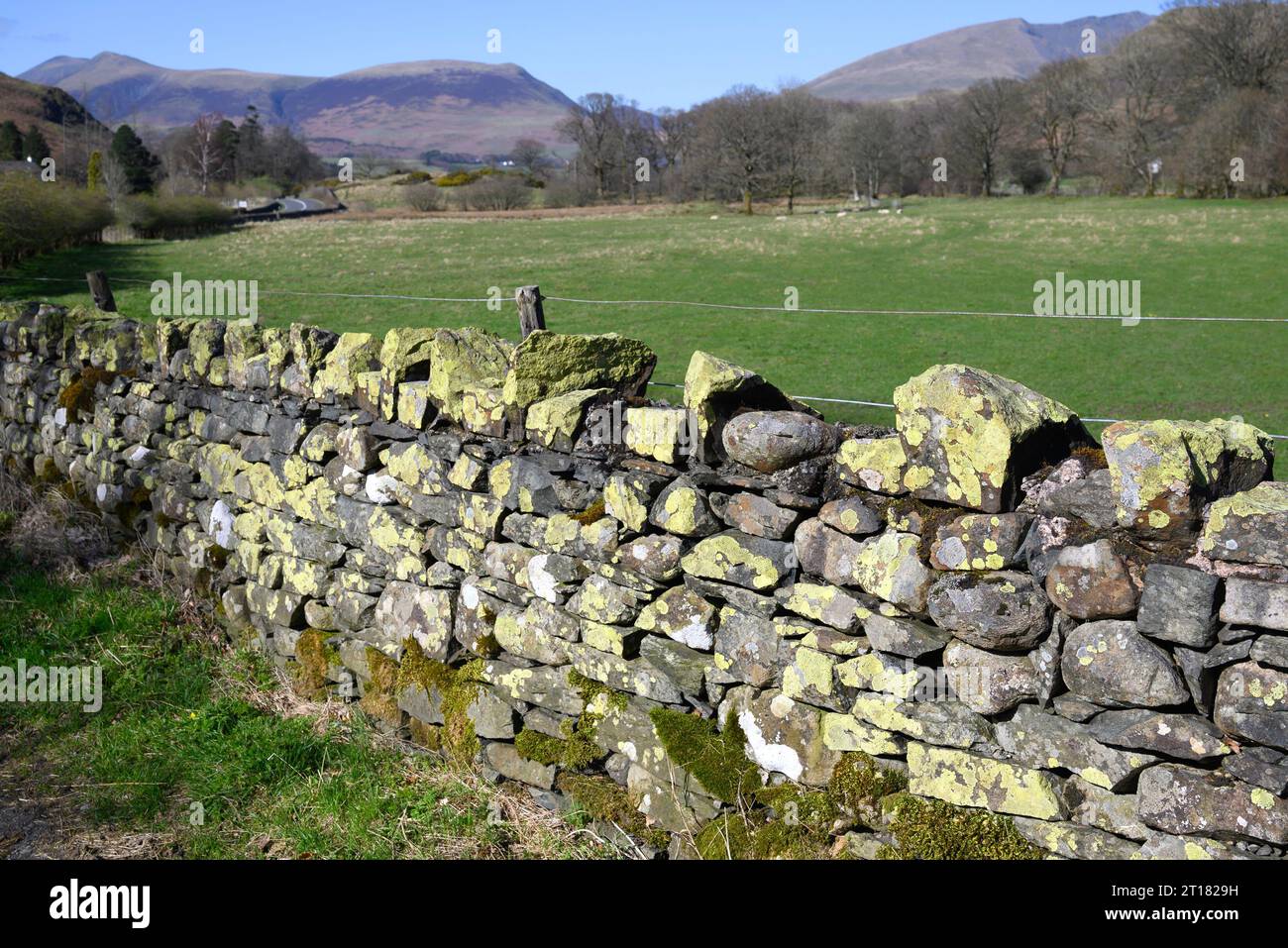 Cumbria, England, UK. Typical scene in the North Western Lake District ...