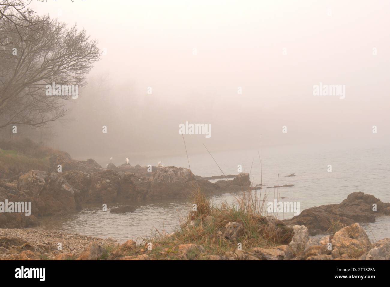Fog in sea hi-res stock photography and images - Alamy