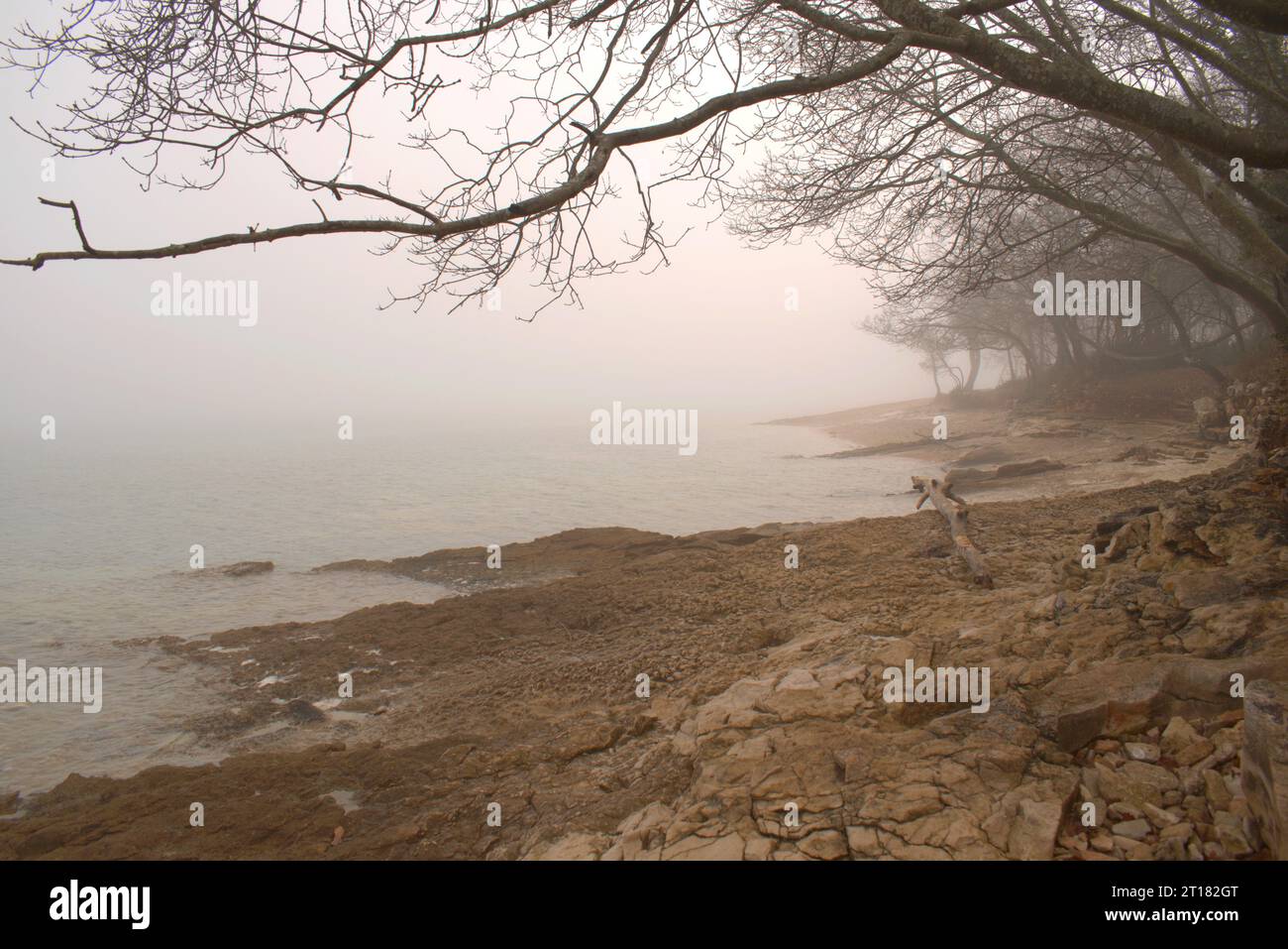 sea in fog Stock Photo - Alamy