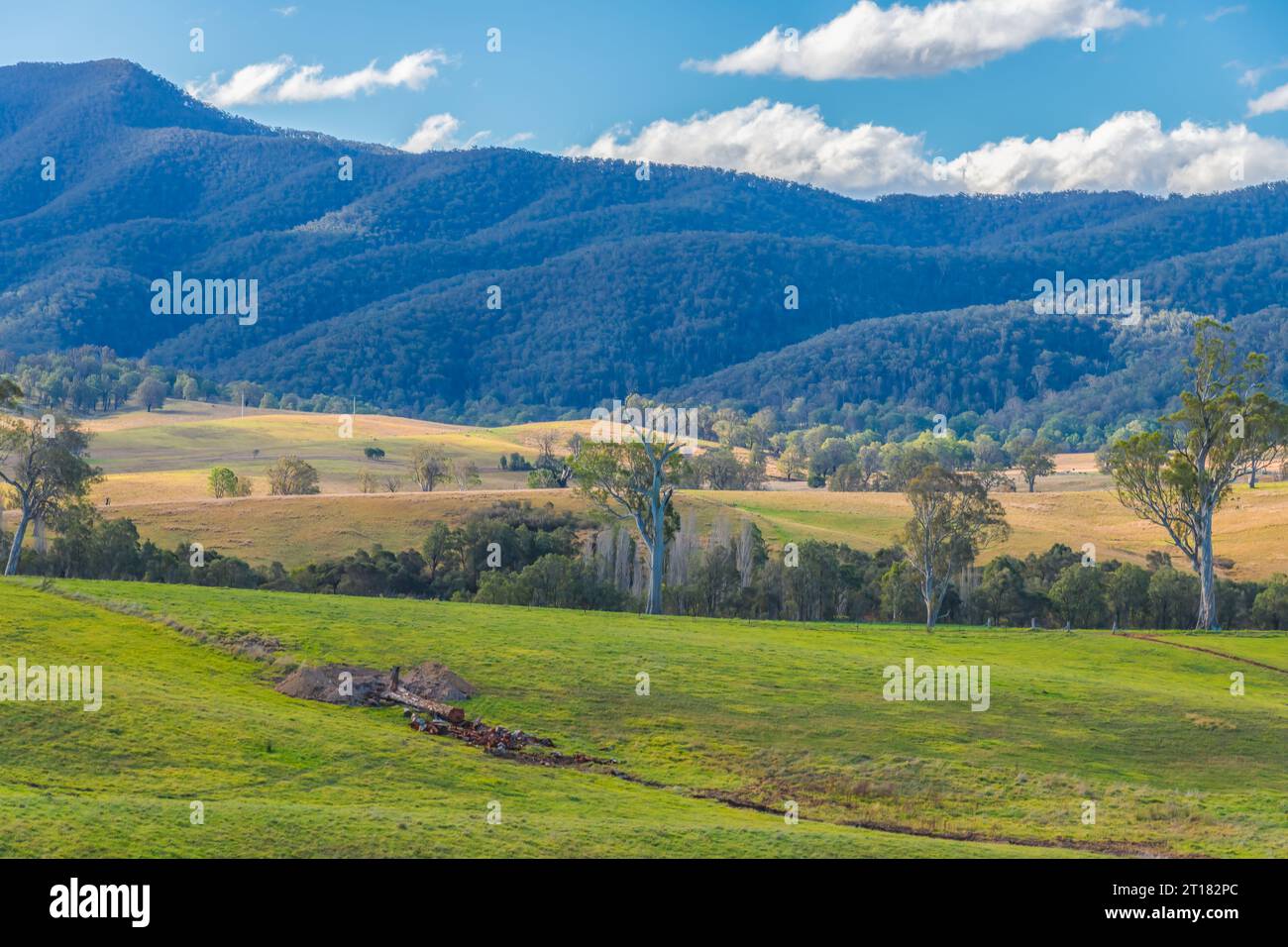 The road ahead on a Winters day in the Monaro Region of NSW, Australia ...