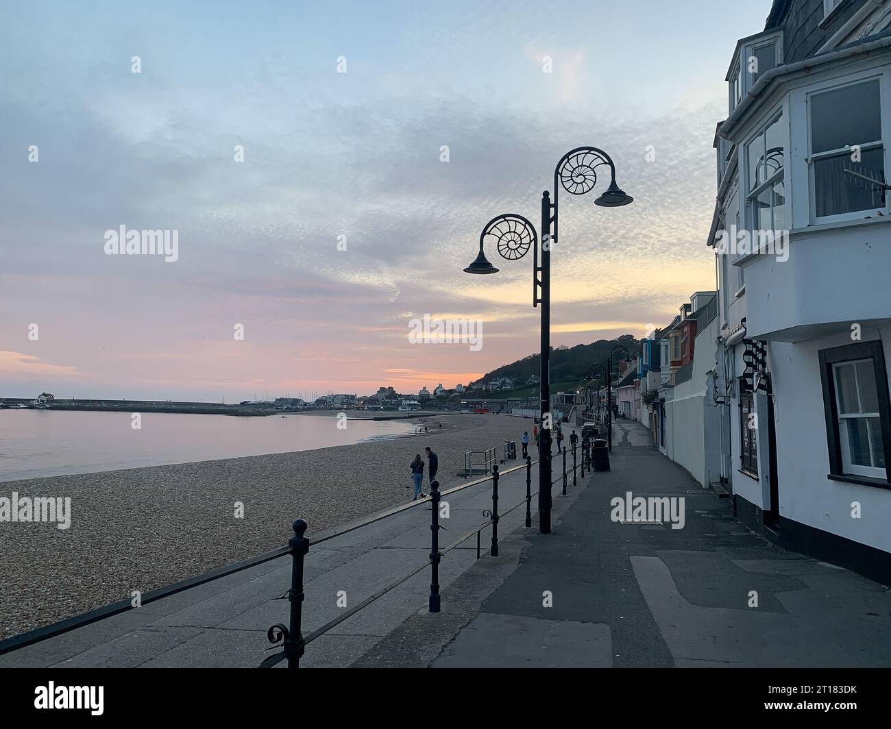 Annomite hi-res stock photography and images - Alamy