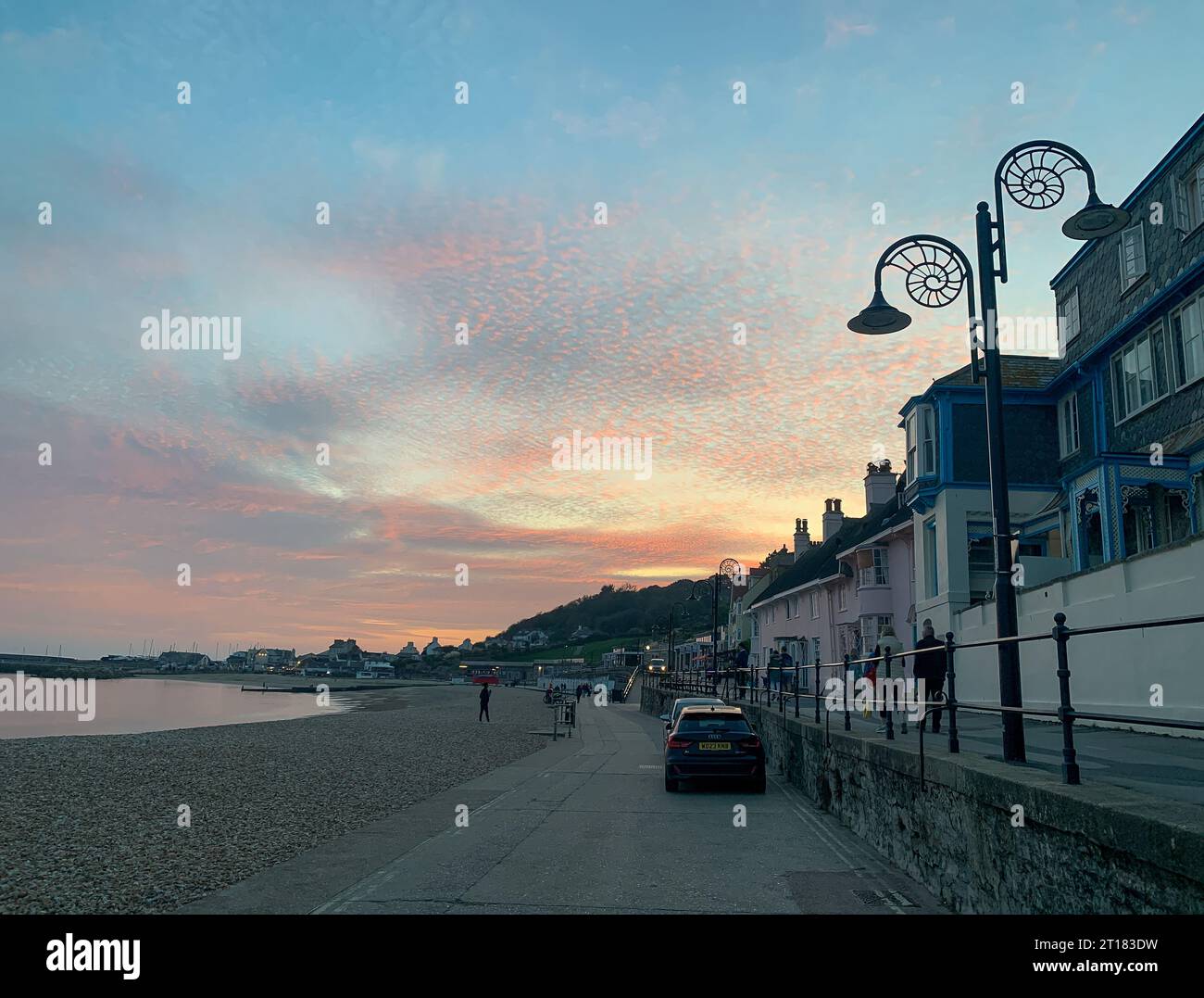 Annomite hi-res stock photography and images - Alamy