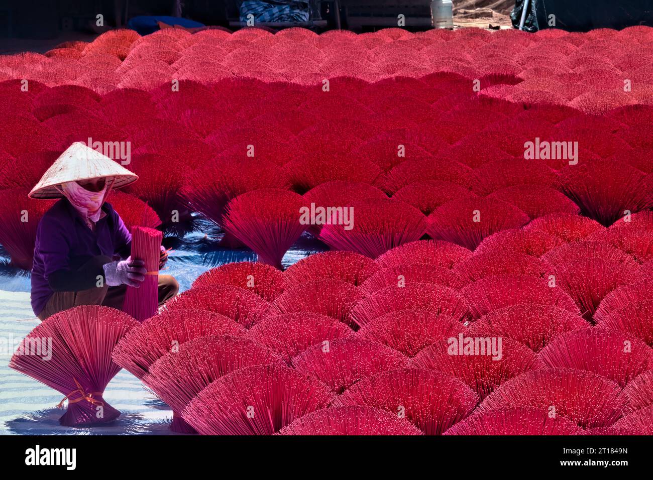 Worker drying incense in the Quang Phu Cau incense village, Hanoi ...