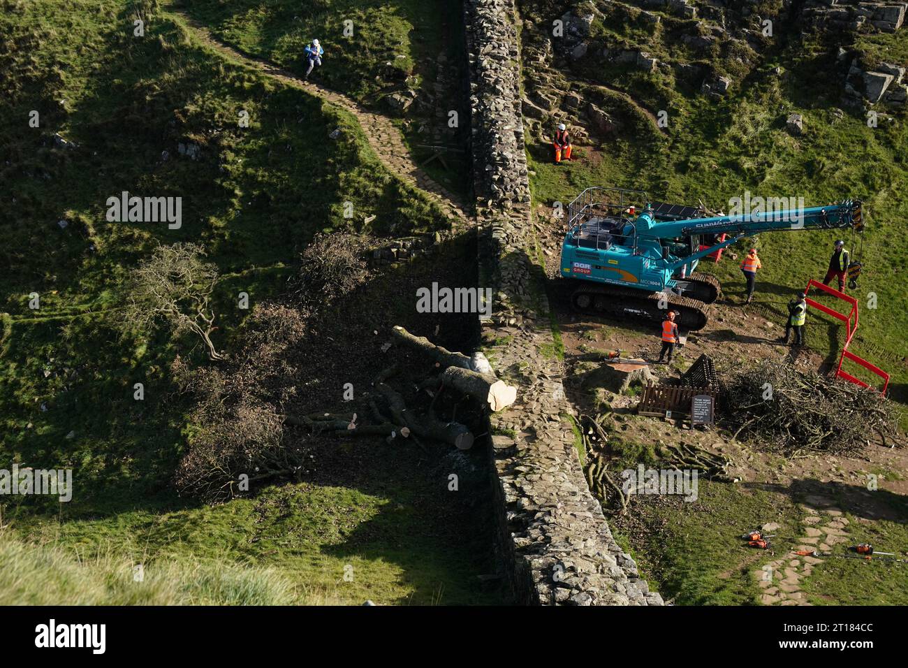 Work begins in the removal of the felled Sycamore Gap tree, on Hadrian ...