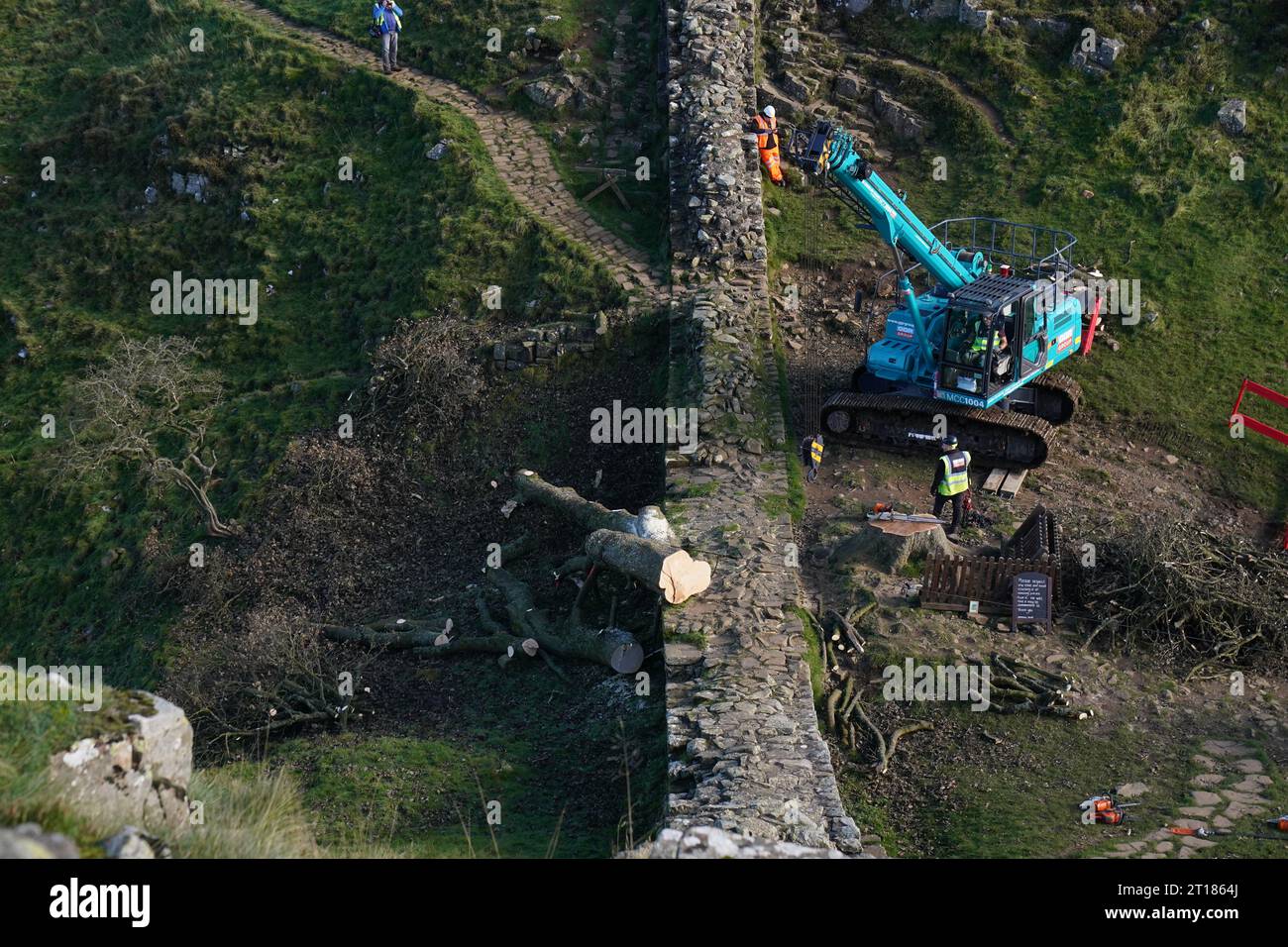 Work begins in the removal of the felled Sycamore Gap tree, on Hadrian ...