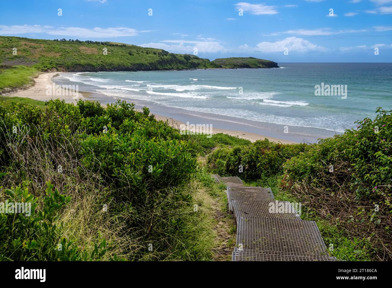 Killalea Beach (The Farm Beach), Killalea Regional Park, Shell Cove ...