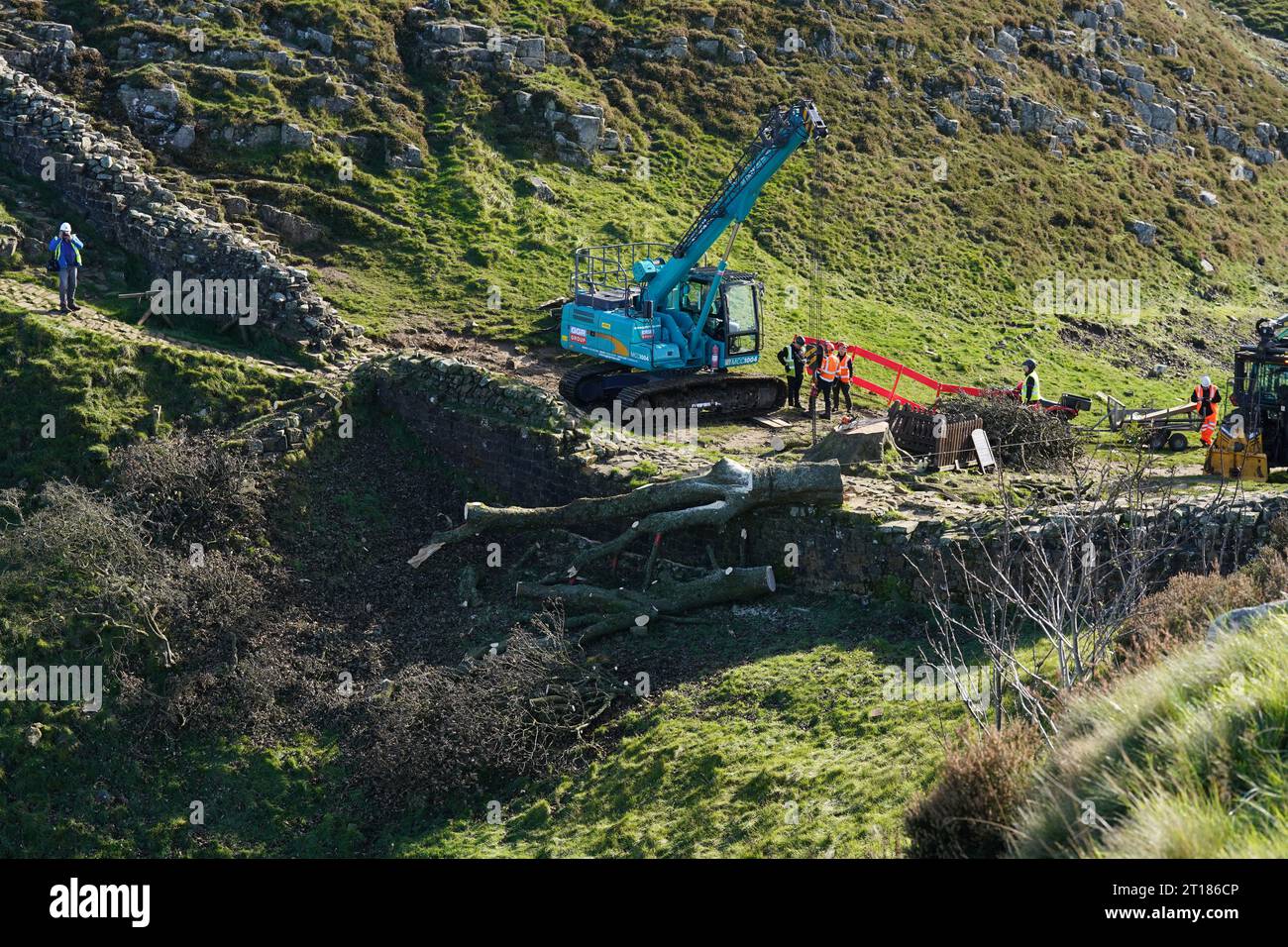 Work begins in the removal of the felled Sycamore Gap tree, on Hadrian ...
