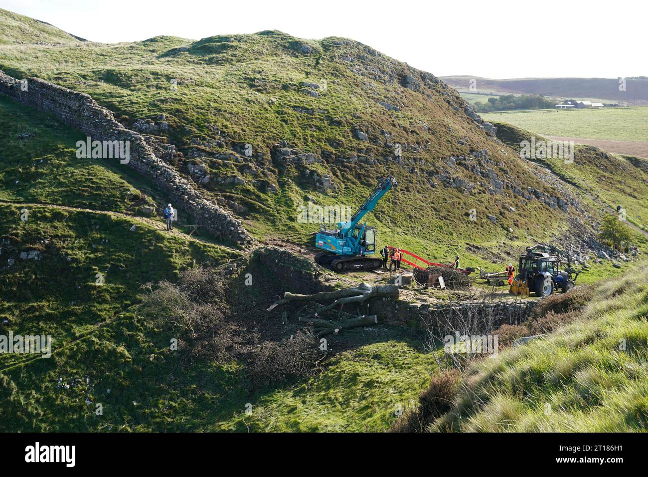 Work begins in the removal of the felled Sycamore Gap tree, on Hadrian ...