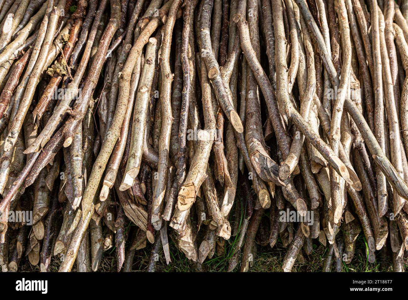 A full frame photogaph of a pile of cut tree branches Stock Photo - Alamy