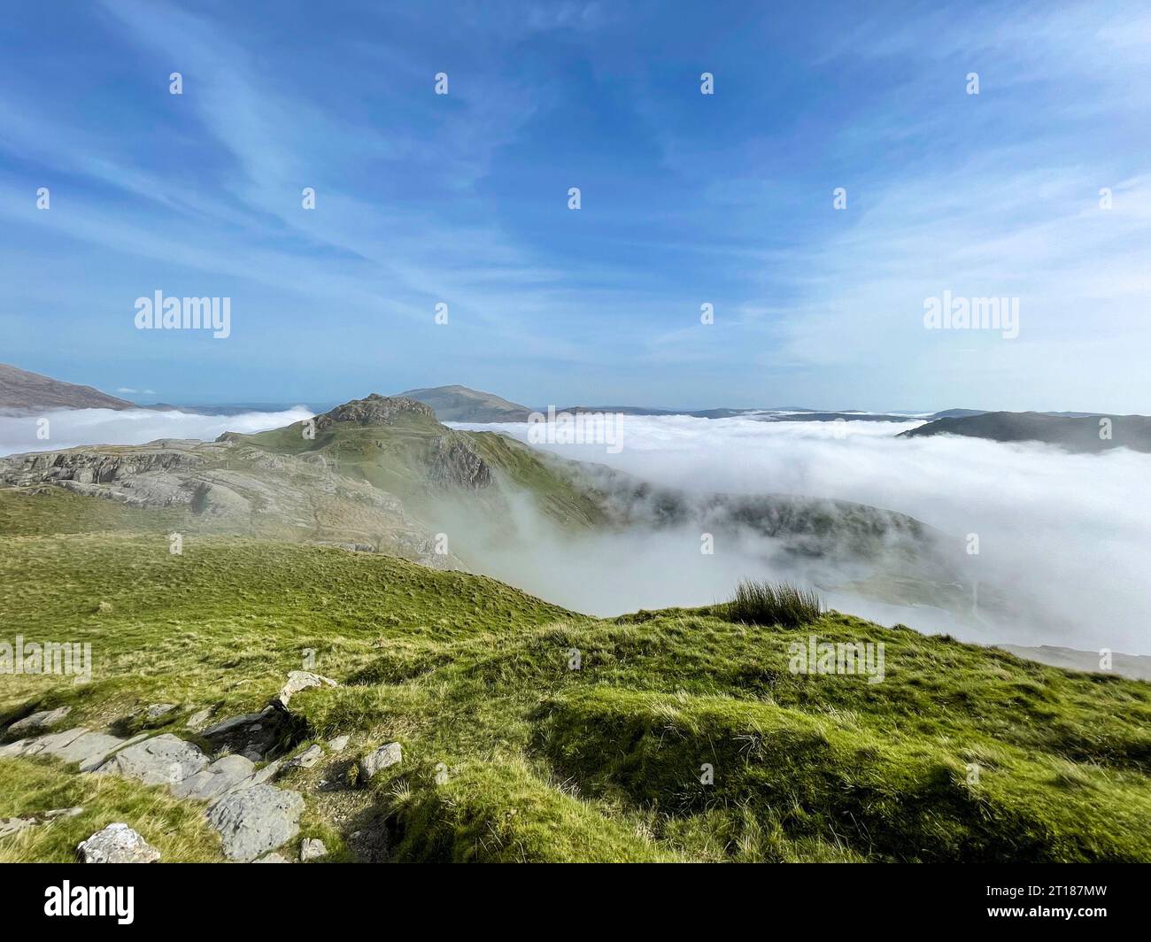 Grib goch hi-res stock photography and images - Alamy