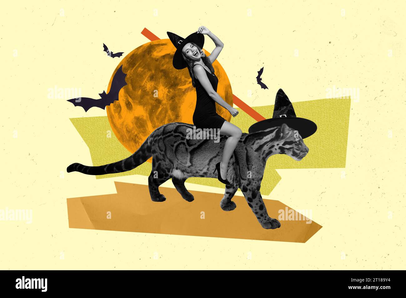 Creative template collage image of excited witch lady riding tiger ...