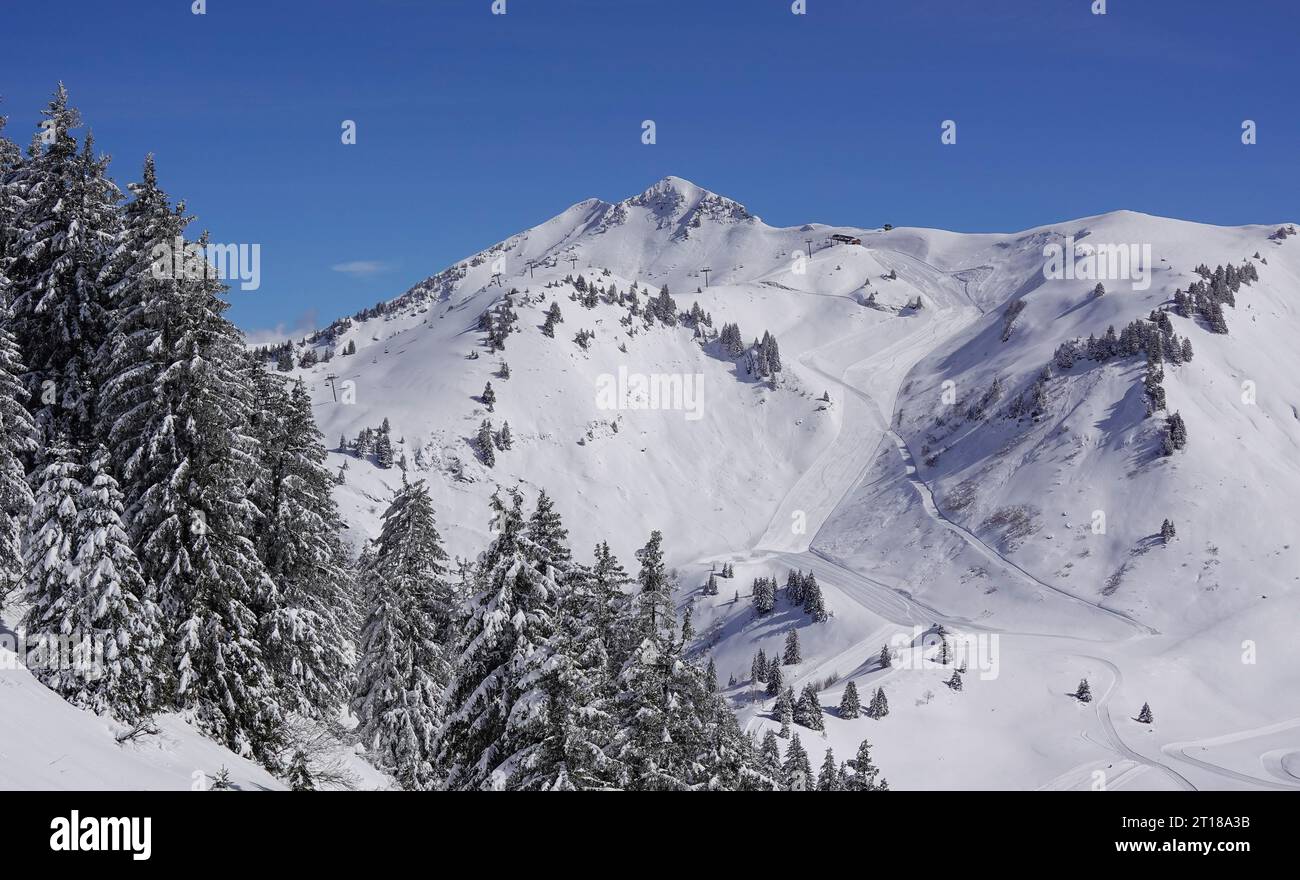 Skipisten, hinten die Gipfel Pointe de Nyon und Chamossiere ...