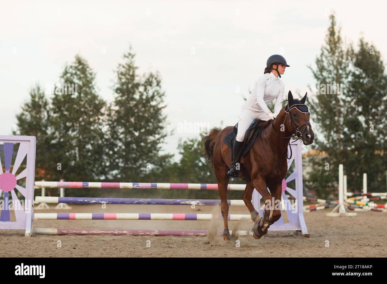 Dressage horse and rider in uniform during equestrian jumping ...