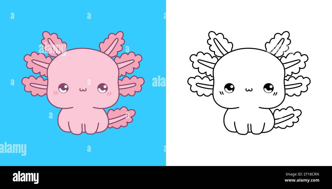 Vector Axolotl Multicolored and Black and White. Beautiful Clip Art ...